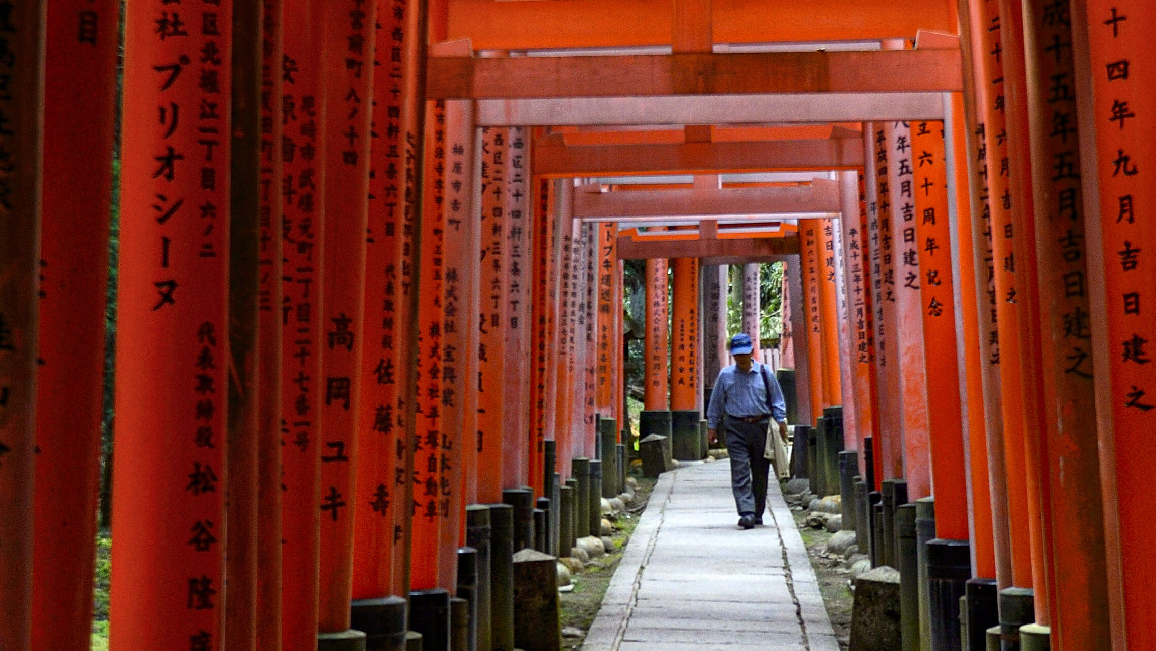 Gallery - Japan Photography Tour